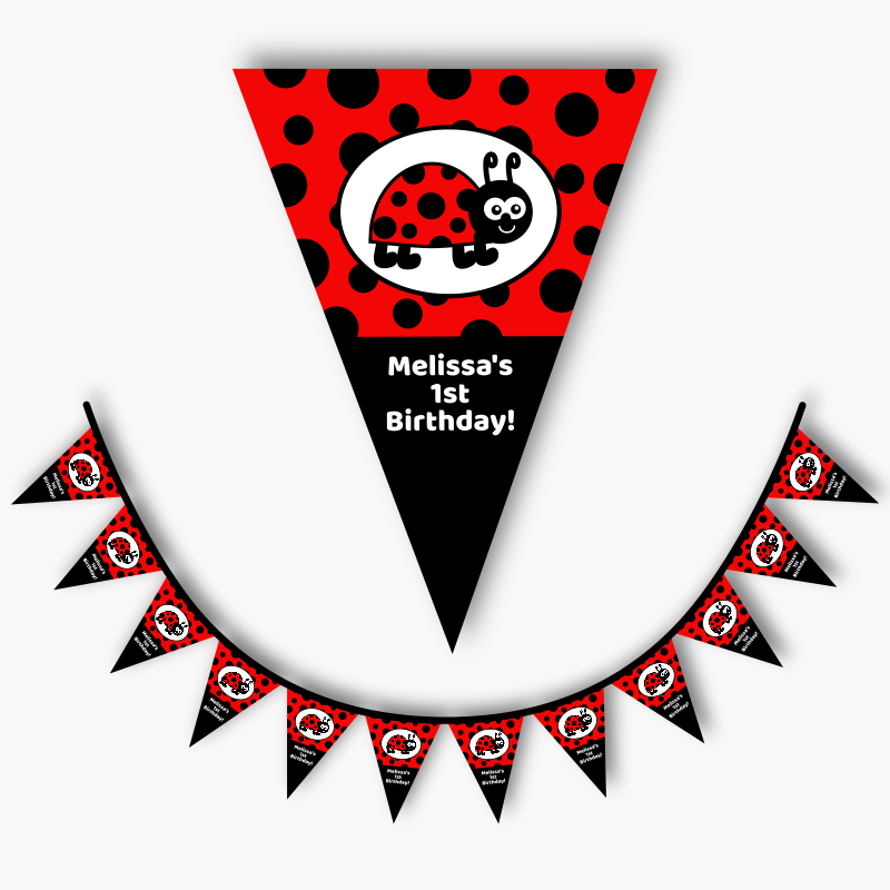 Gorgeous Custom Red & Black Spot Lady Bug Party Supplies - Katie J ...